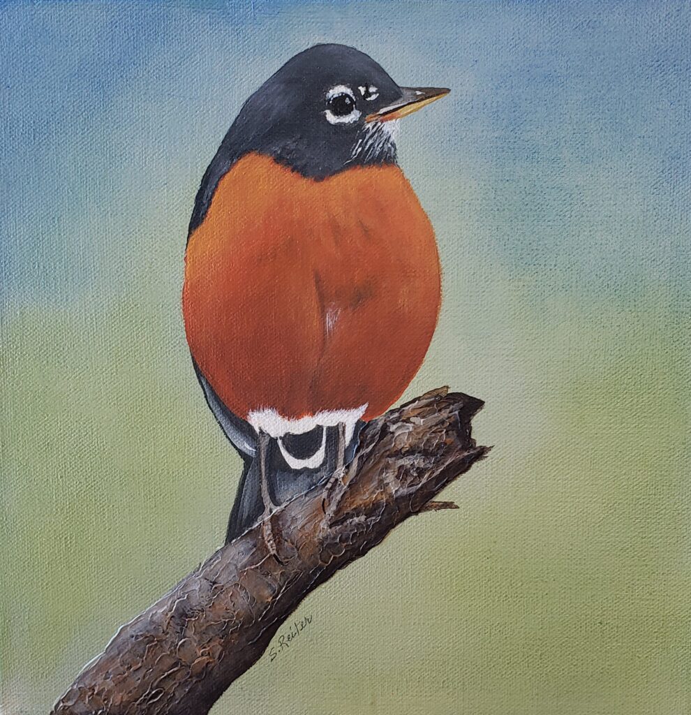 Susan Reiter - Rothwell Gallery & Framing Ottawa